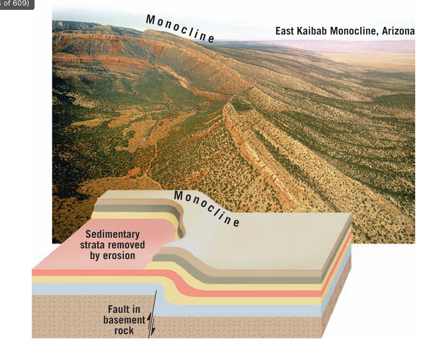 Monocline formation - Геология - Спроси! | Beyond Curriculum